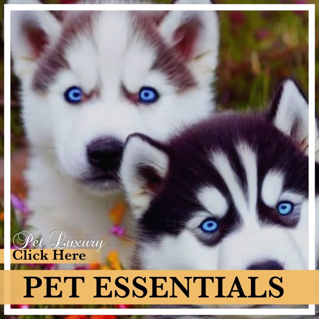 About Pet Luxury - Pet Luxury ⭐️⭐️⭐️⭐️⭐️